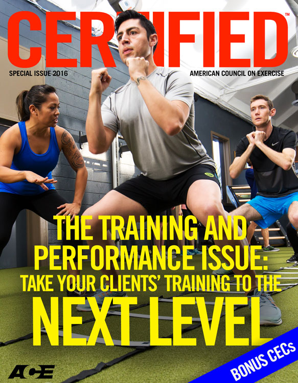 ACE - Certified™: Training and Performance Special Issue 2016