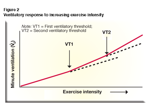 ACE IFT Model for Cardiorespiratory Training: Phases 1–4