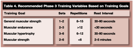 ACE Integrated Fitness Training (IFT) Model for Functional Movement and ...